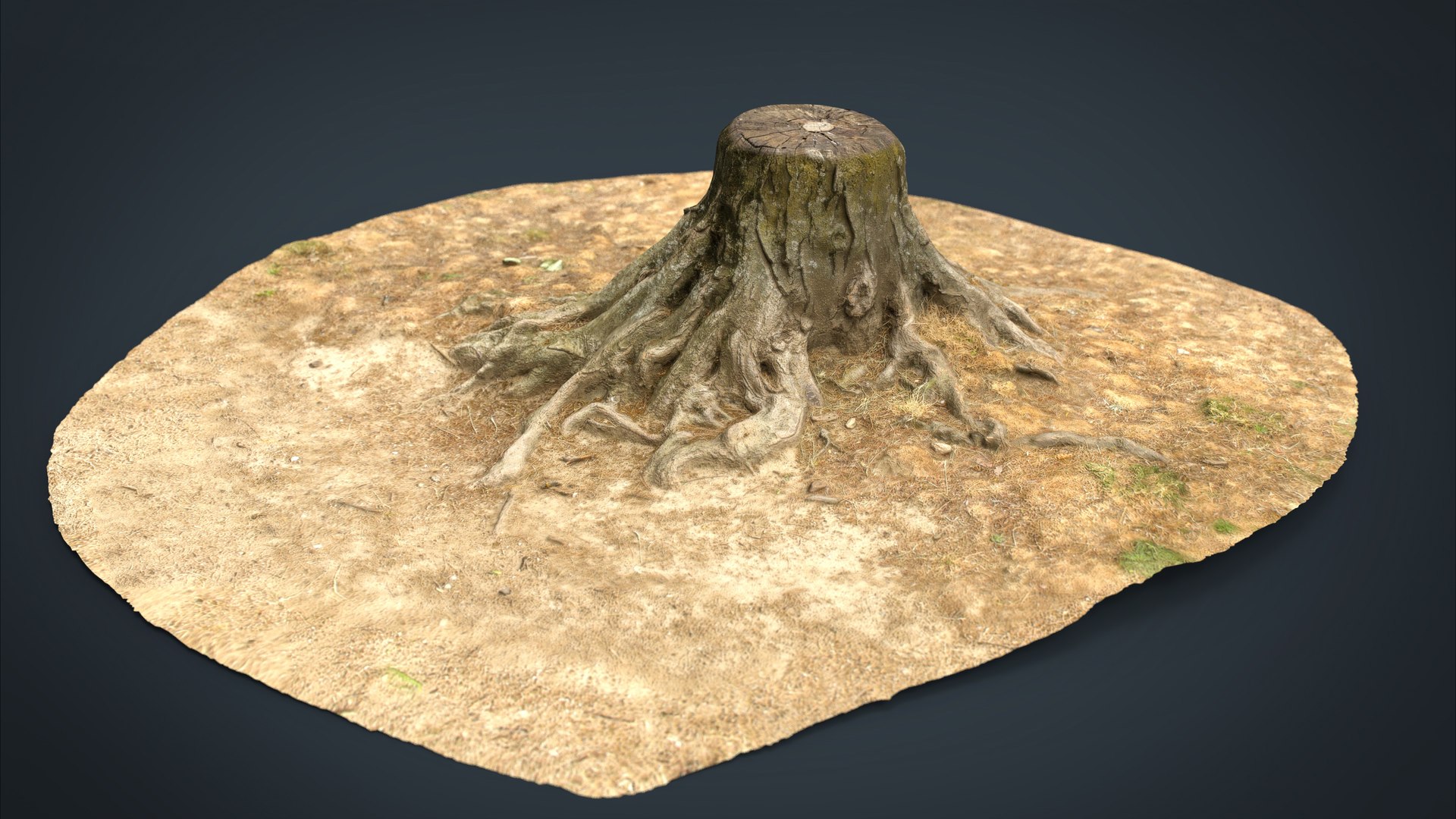 3D Realistic Tree Stump - TurboSquid 1163938