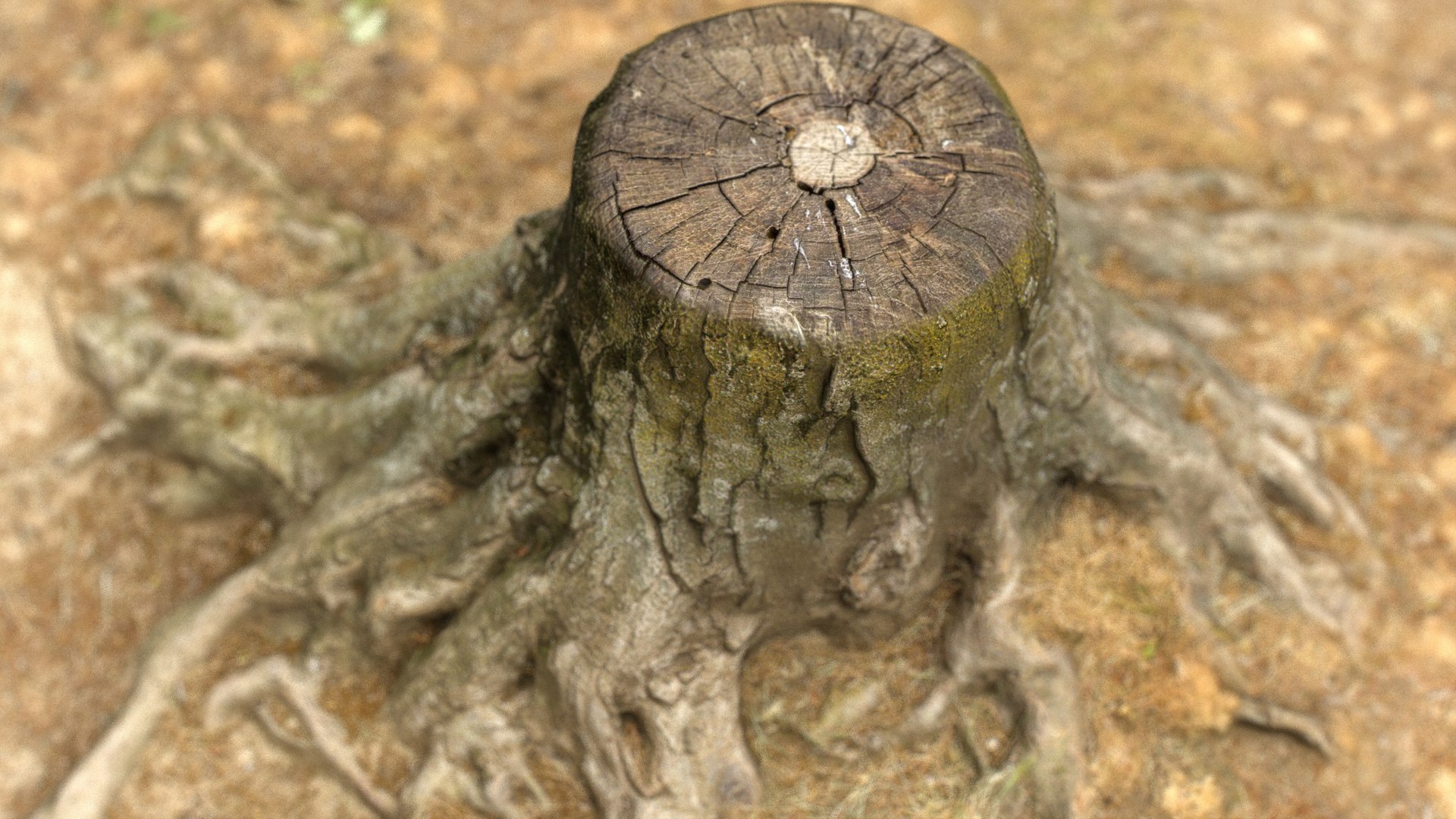 3D Realistic Tree Stump - TurboSquid 1163938