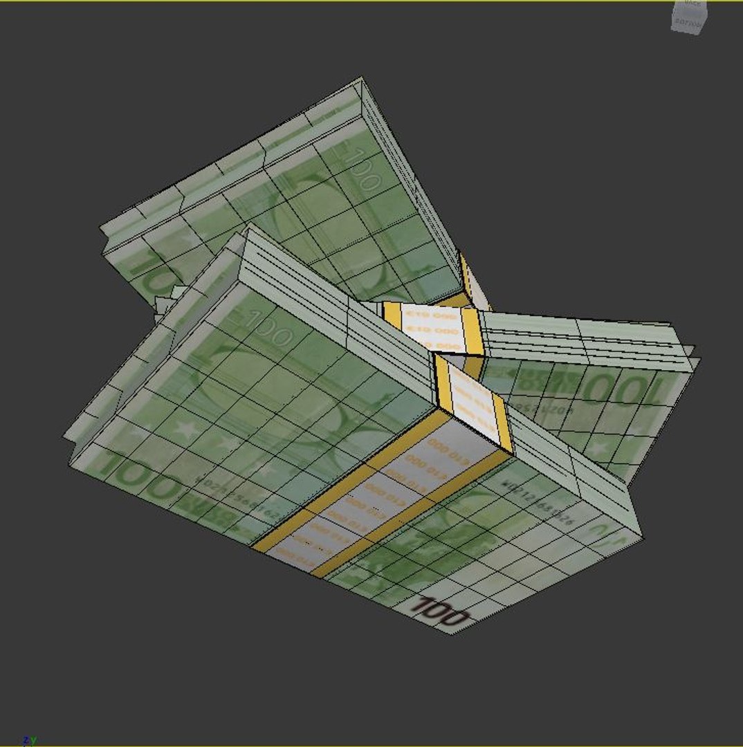 3d Model 100 Euros Packs