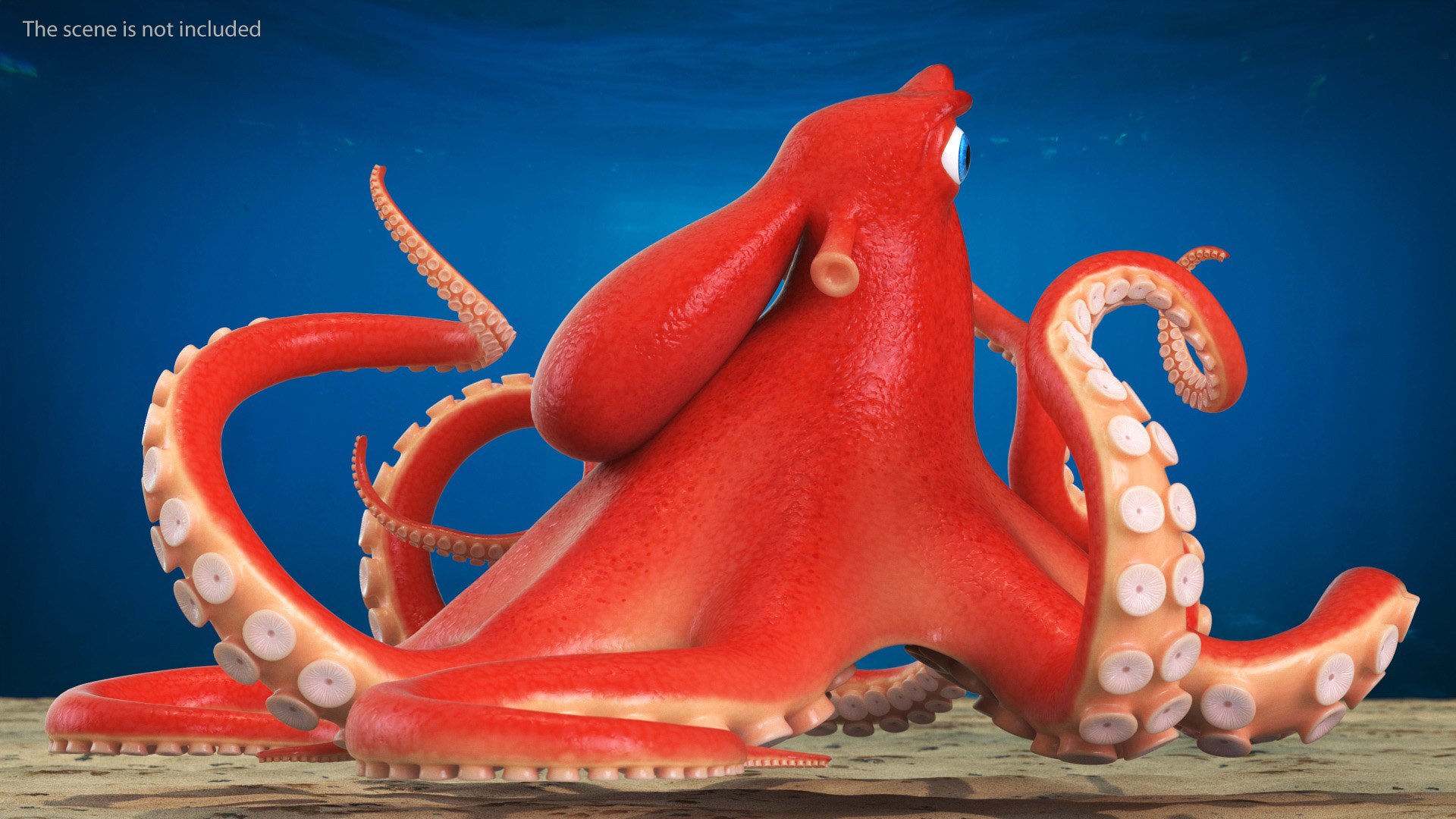 Octopus Cartoon Character Rigged Model - TurboSquid 1971828