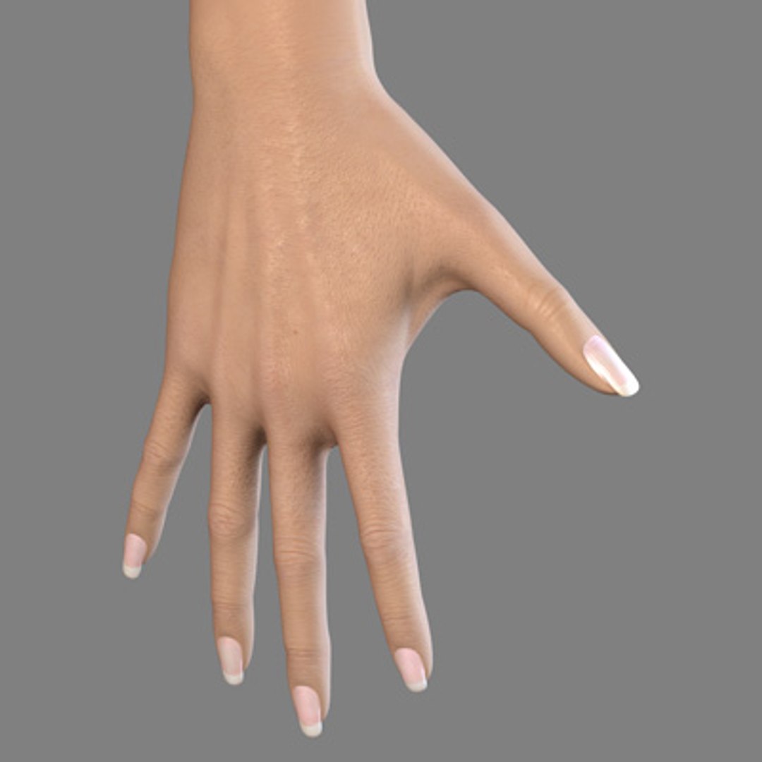 Female Hand Arm 3d Model