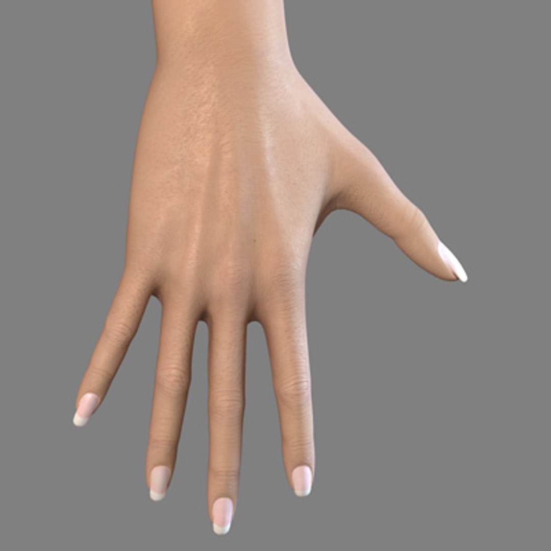 Female Hand Arm 3d Model