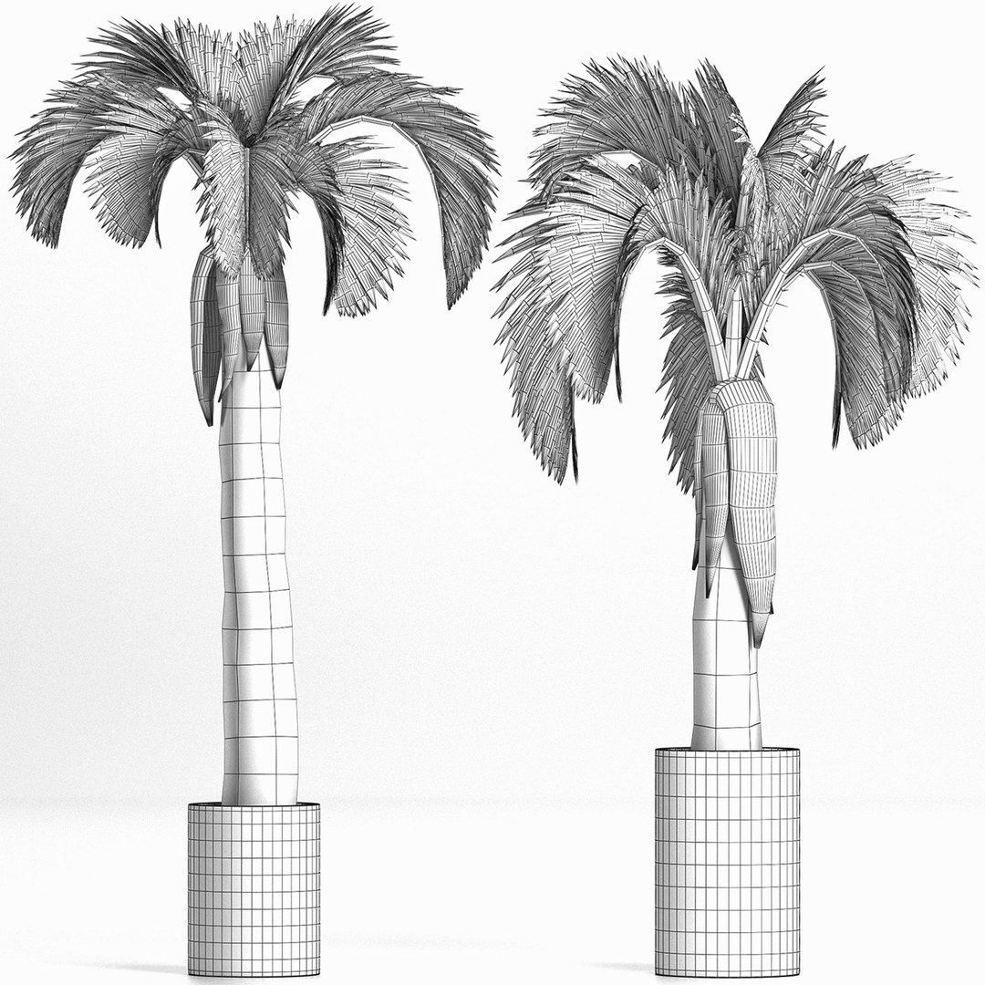 3D palm plants model - TurboSquid 1681322