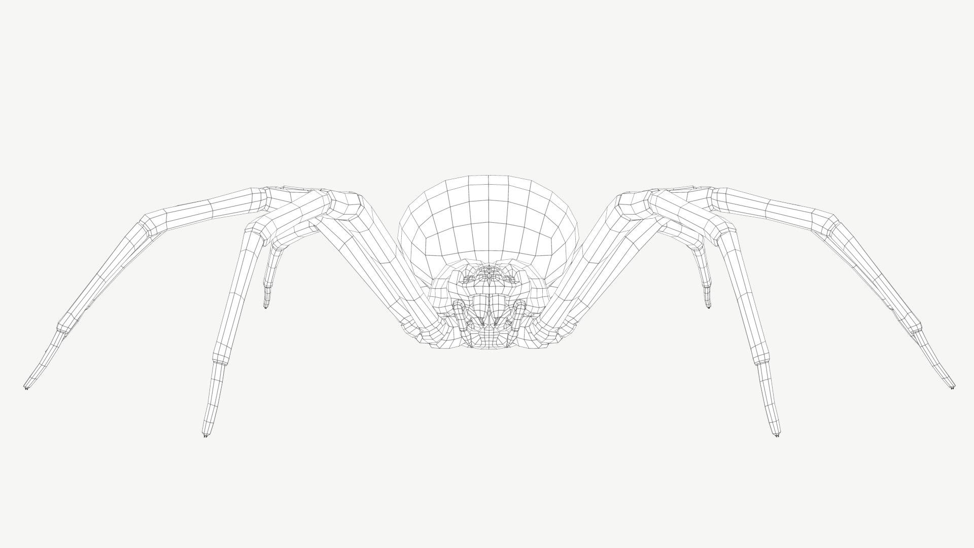 3d orb-weaver spider model