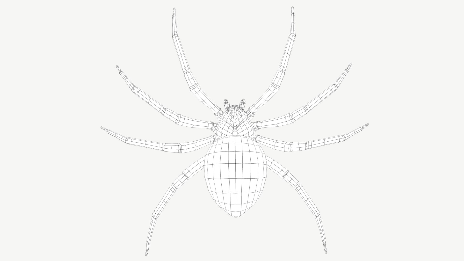 3d orb-weaver spider model