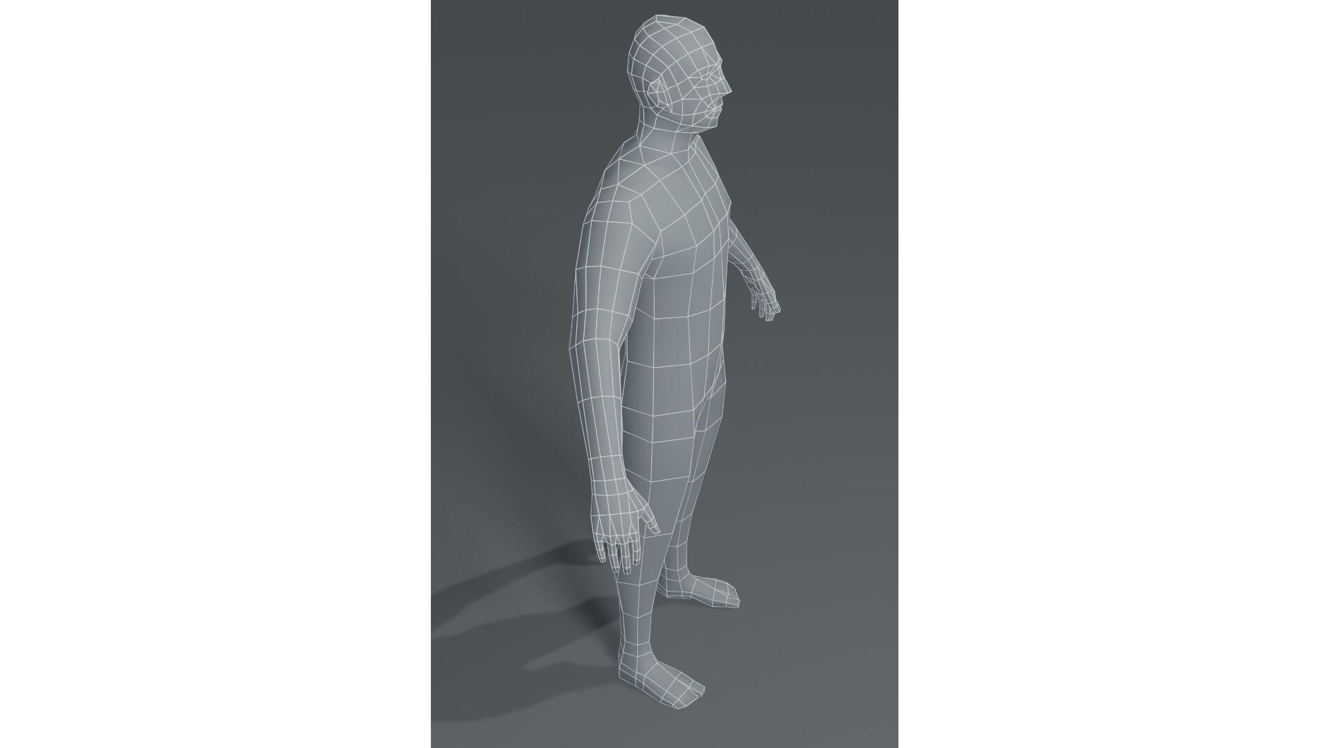 3D Human Body Base Mesh - TurboSquid 1651999