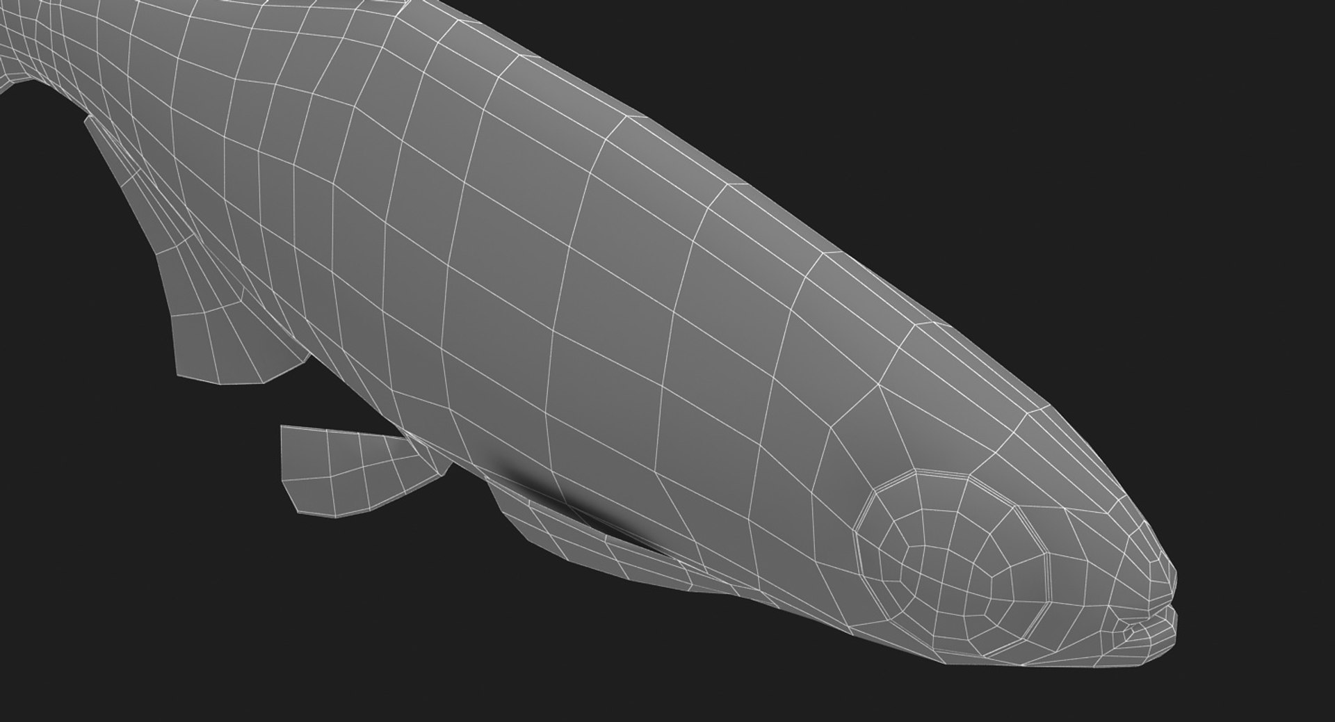 Realistic Neon Tetra Set 3D Model - TurboSquid 1383512