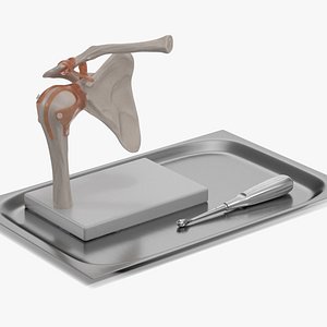 3D Anatomy Shoulder Models - Browse & Download Formats - TurboSquid