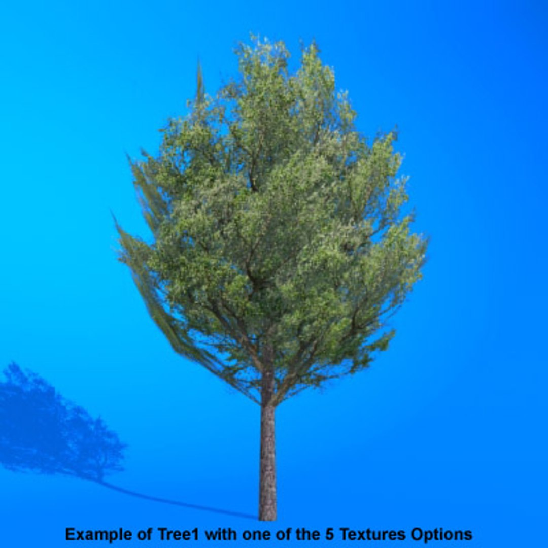 3ds Max Trees Bark Architectural