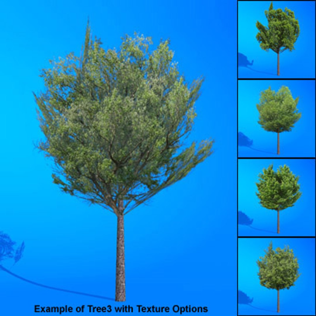 3ds Max Trees Bark Architectural