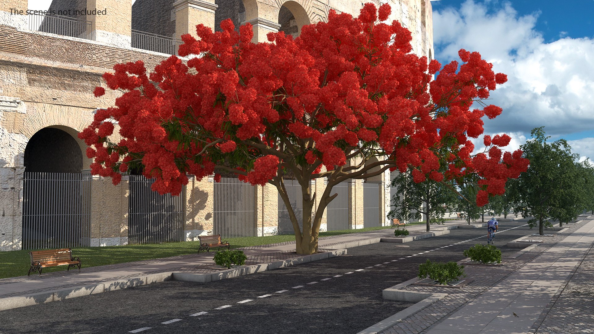 Delonix Regia Tree 3D Model - TurboSquid 1505953
