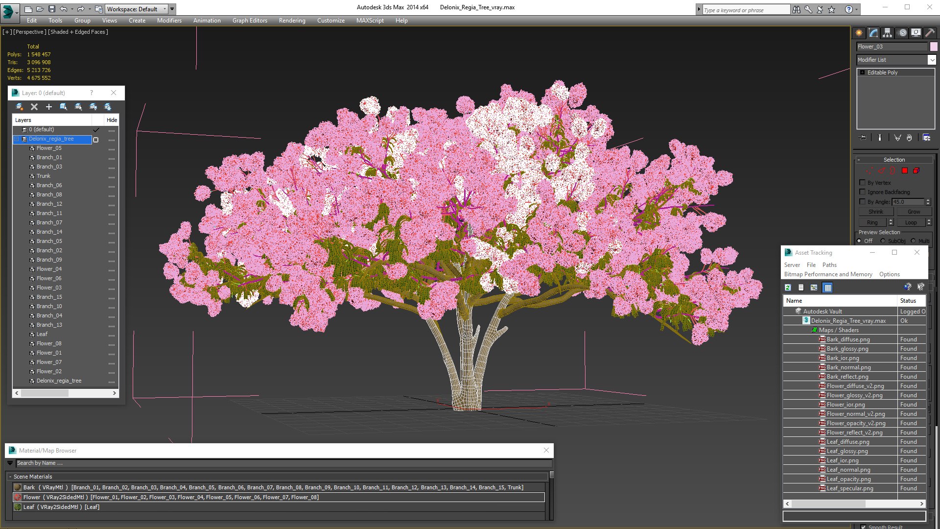 Delonix Regia Tree 3D Model - TurboSquid 1505953