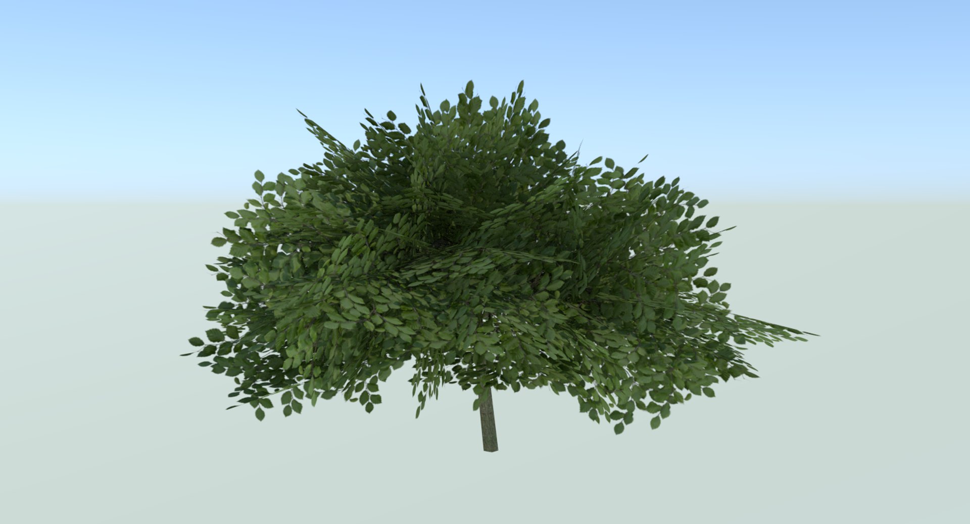 3d ready bush model