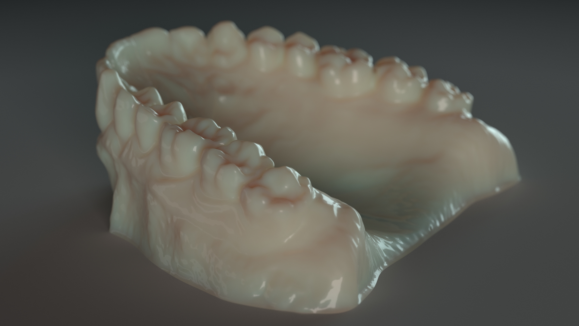 Denture mold 3D - TurboSquid 1677034