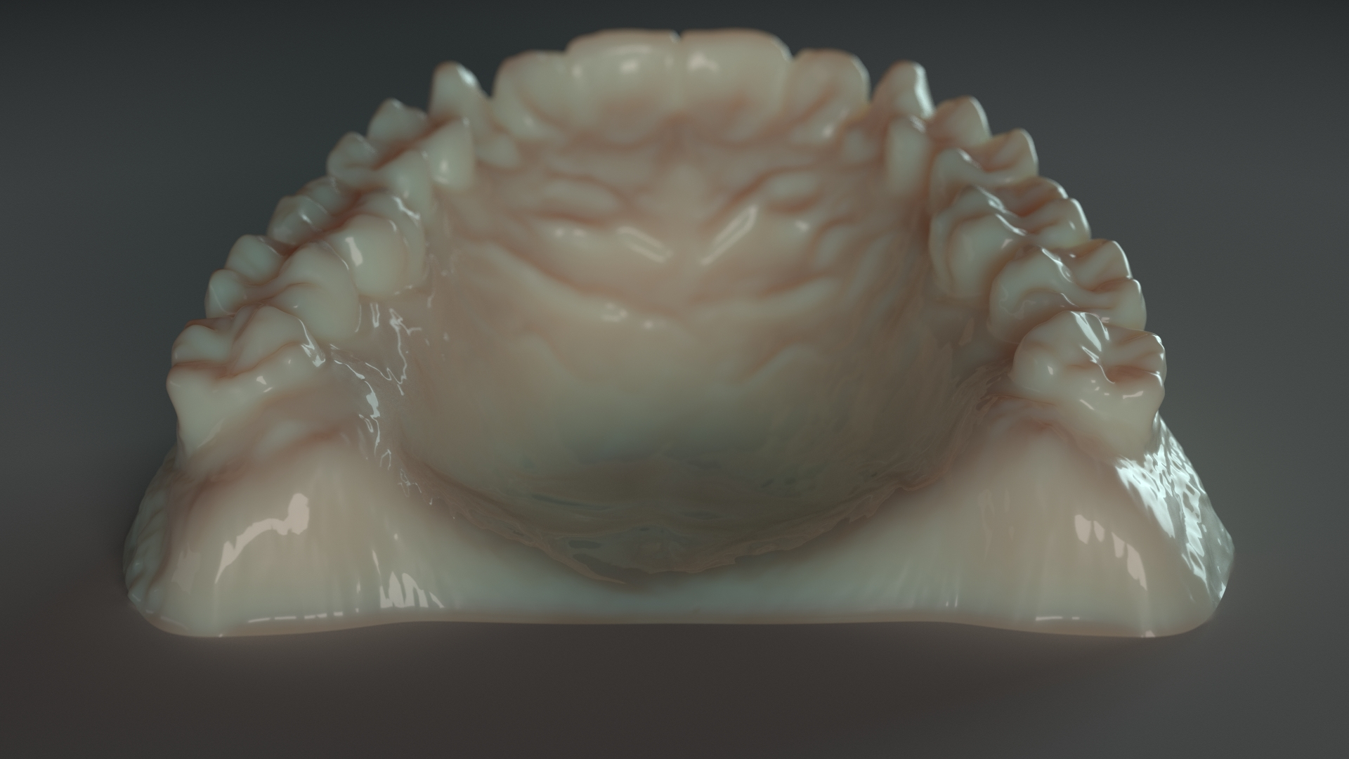 Denture mold 3D - TurboSquid 1677034