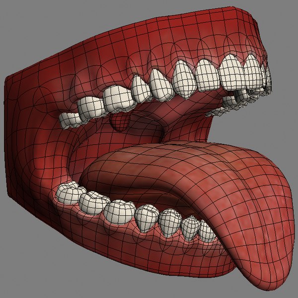 mouth teeth tongue animation 3d max
