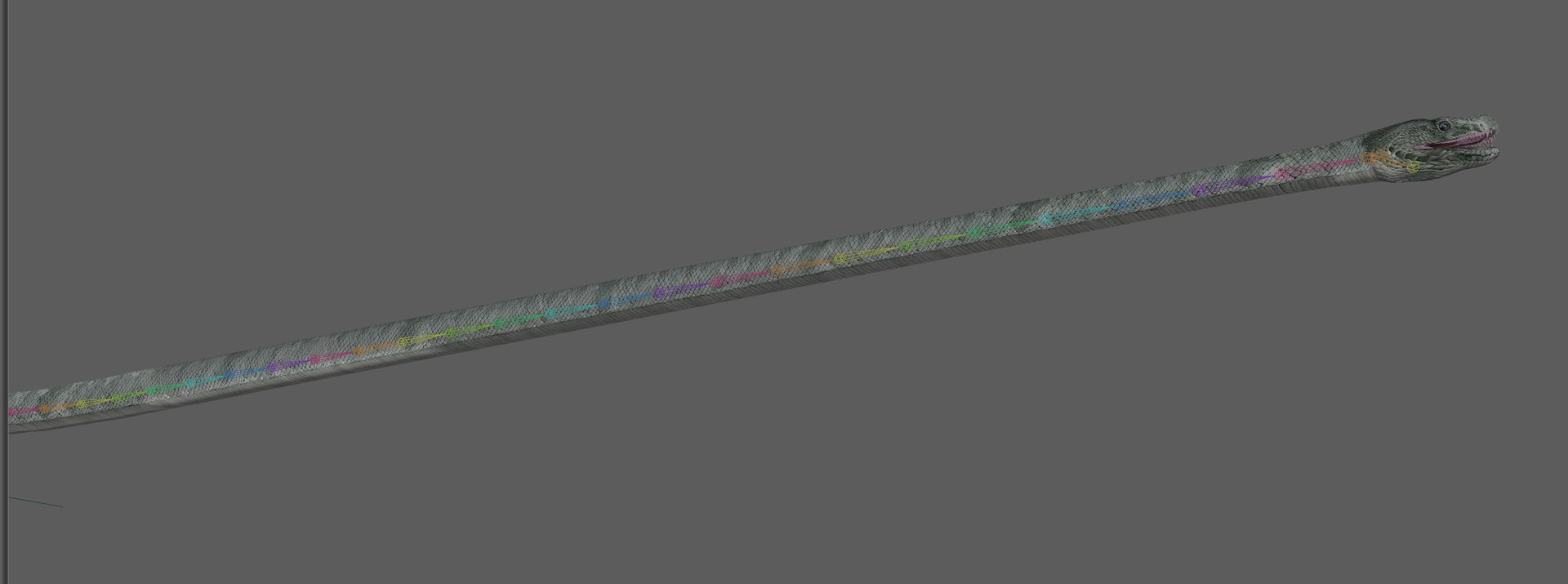 3D Model Black Mamba Snake Rig - TurboSquid 2352196