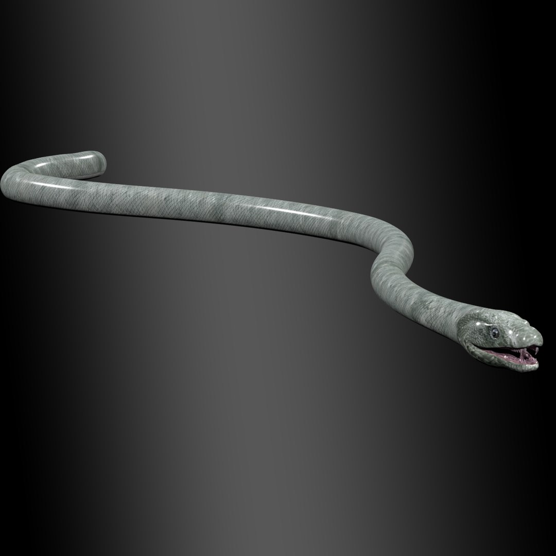 3D Model Black Mamba Snake Rig - TurboSquid 2352196