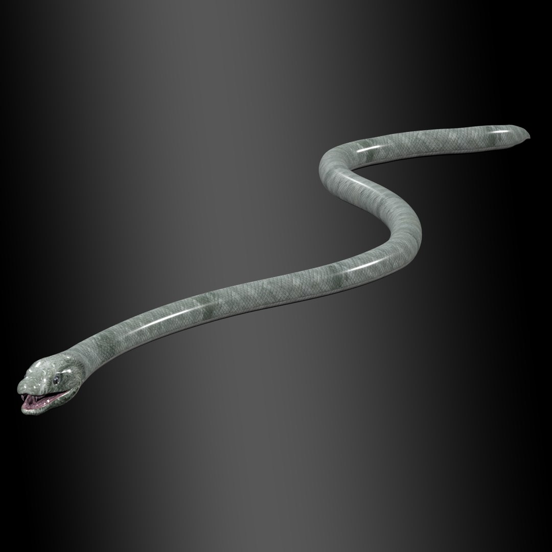 3D Model Black Mamba Snake Rig - TurboSquid 2352196