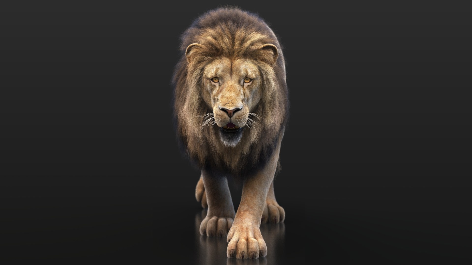 Lion XGEN CORE 3D - TurboSquid 1746510