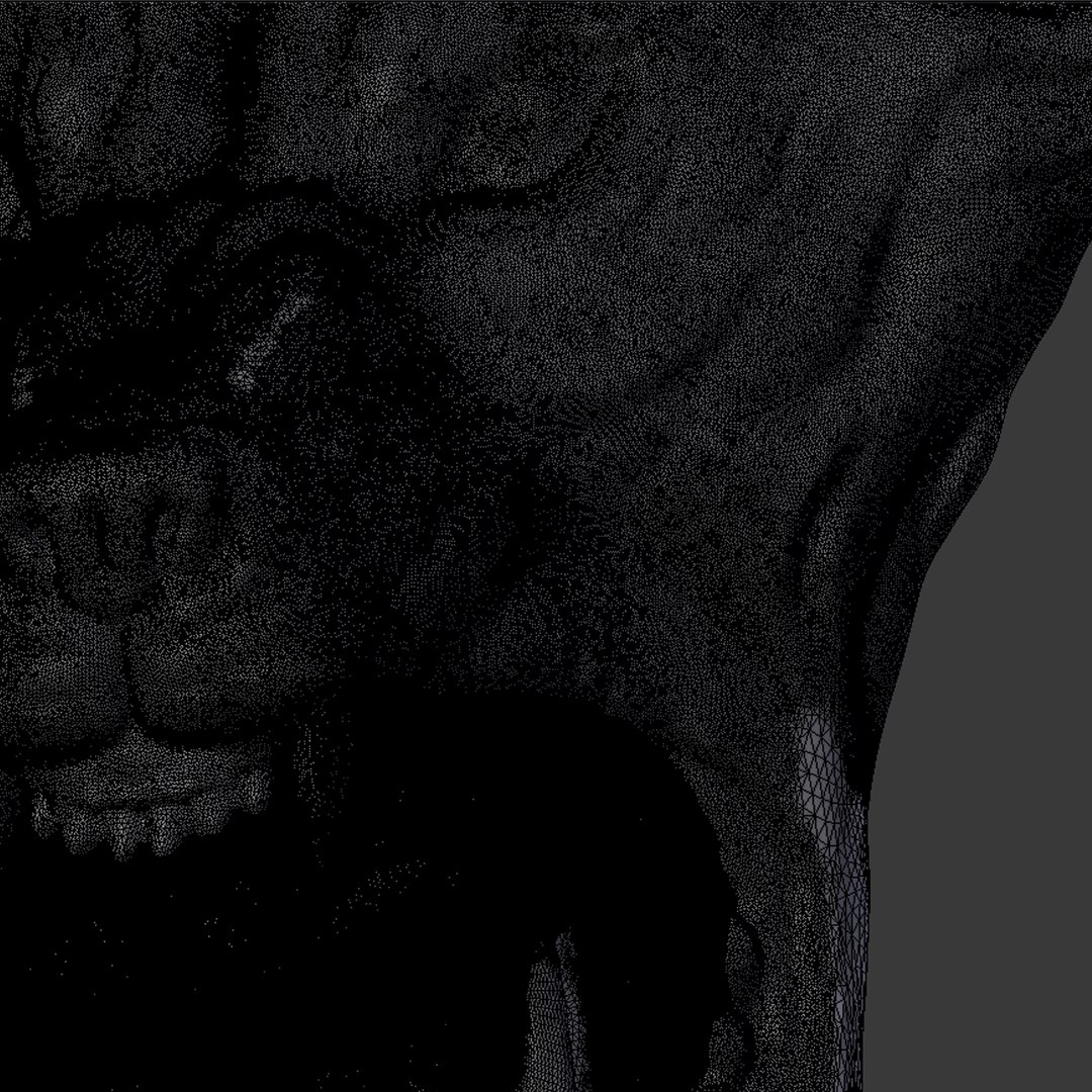 Wolf Head With Human Skull Wall Decoration 3D Print Model 3D ...