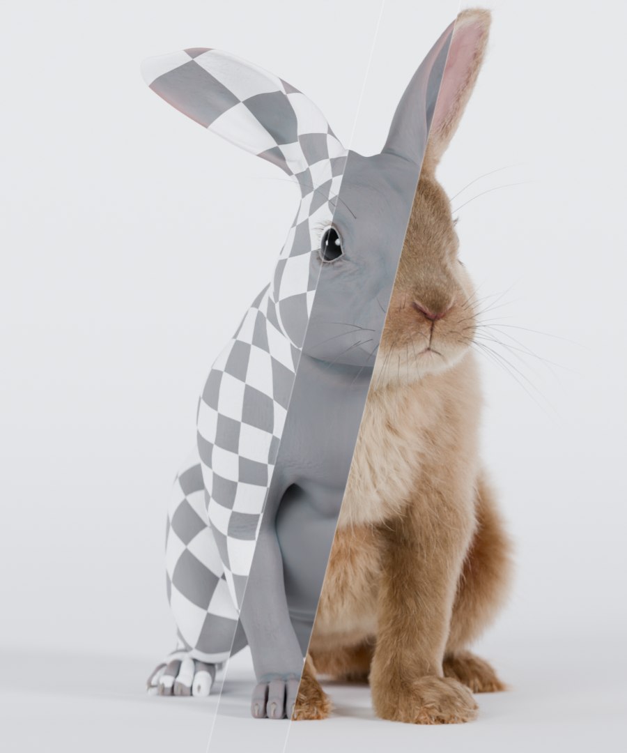 3D Rabbit Rigged Model - TurboSquid 2329471