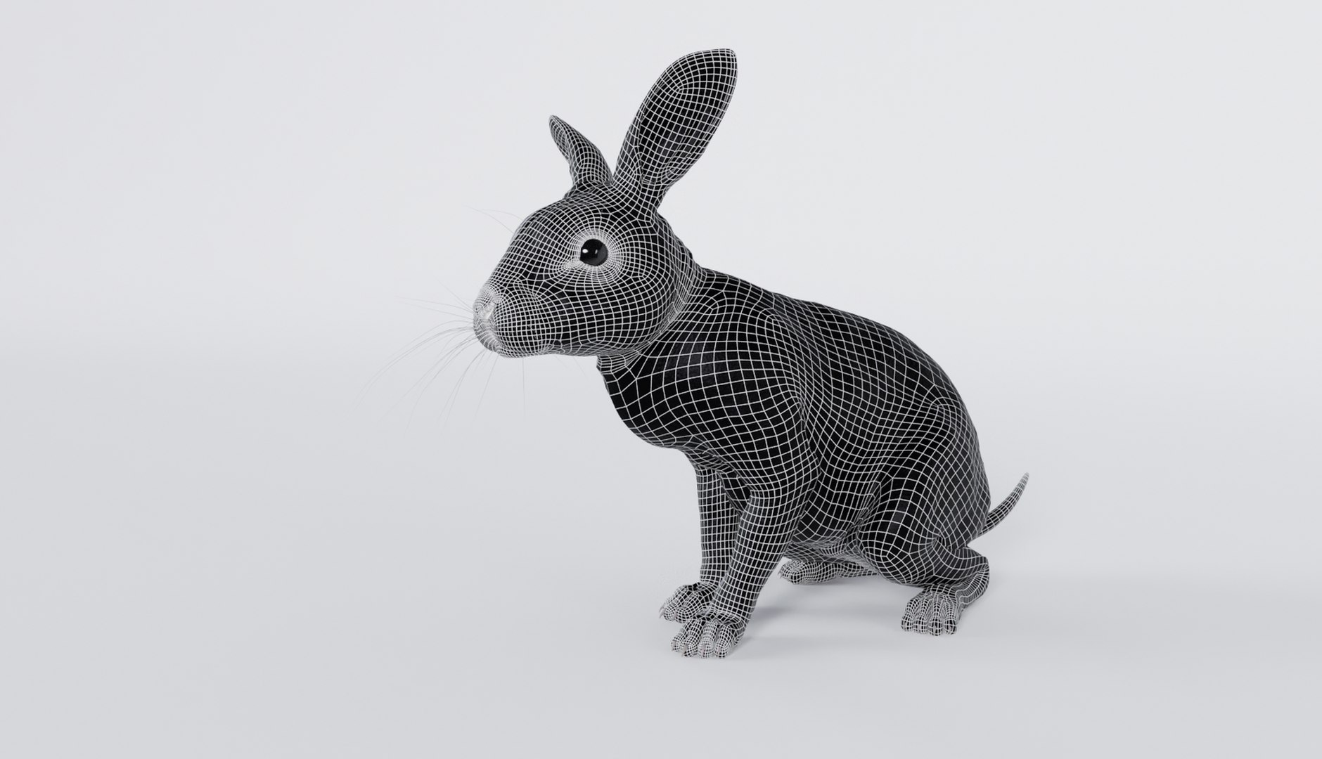 3D Rabbit Rigged Model - TurboSquid 2329471