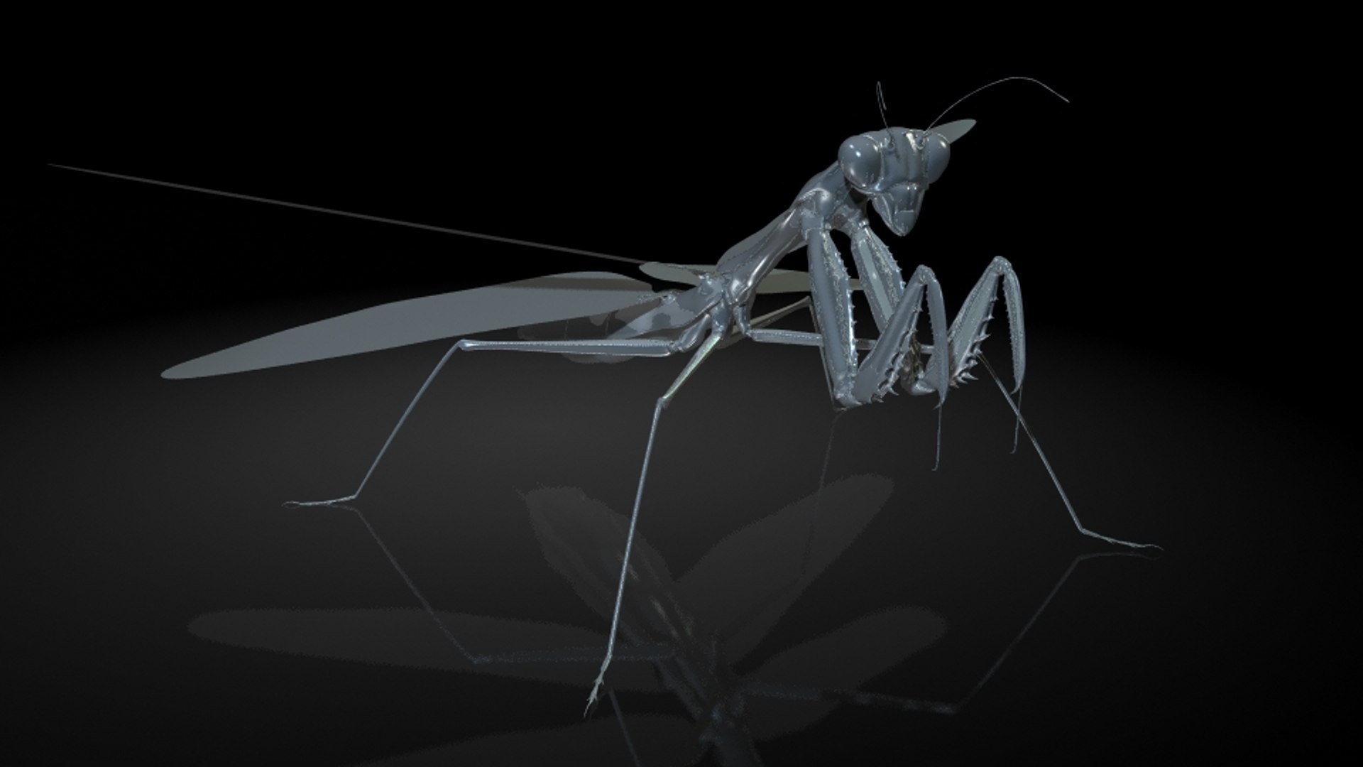 Mantis Insects Model - TurboSquid 1324064