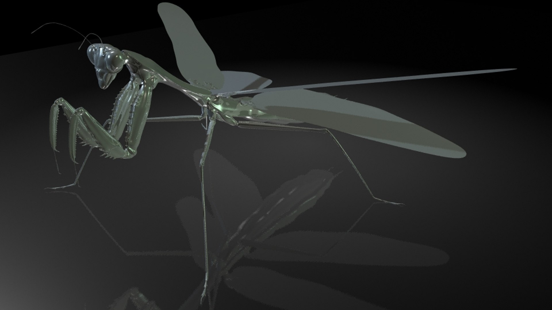 Mantis Insects Model - TurboSquid 1324064