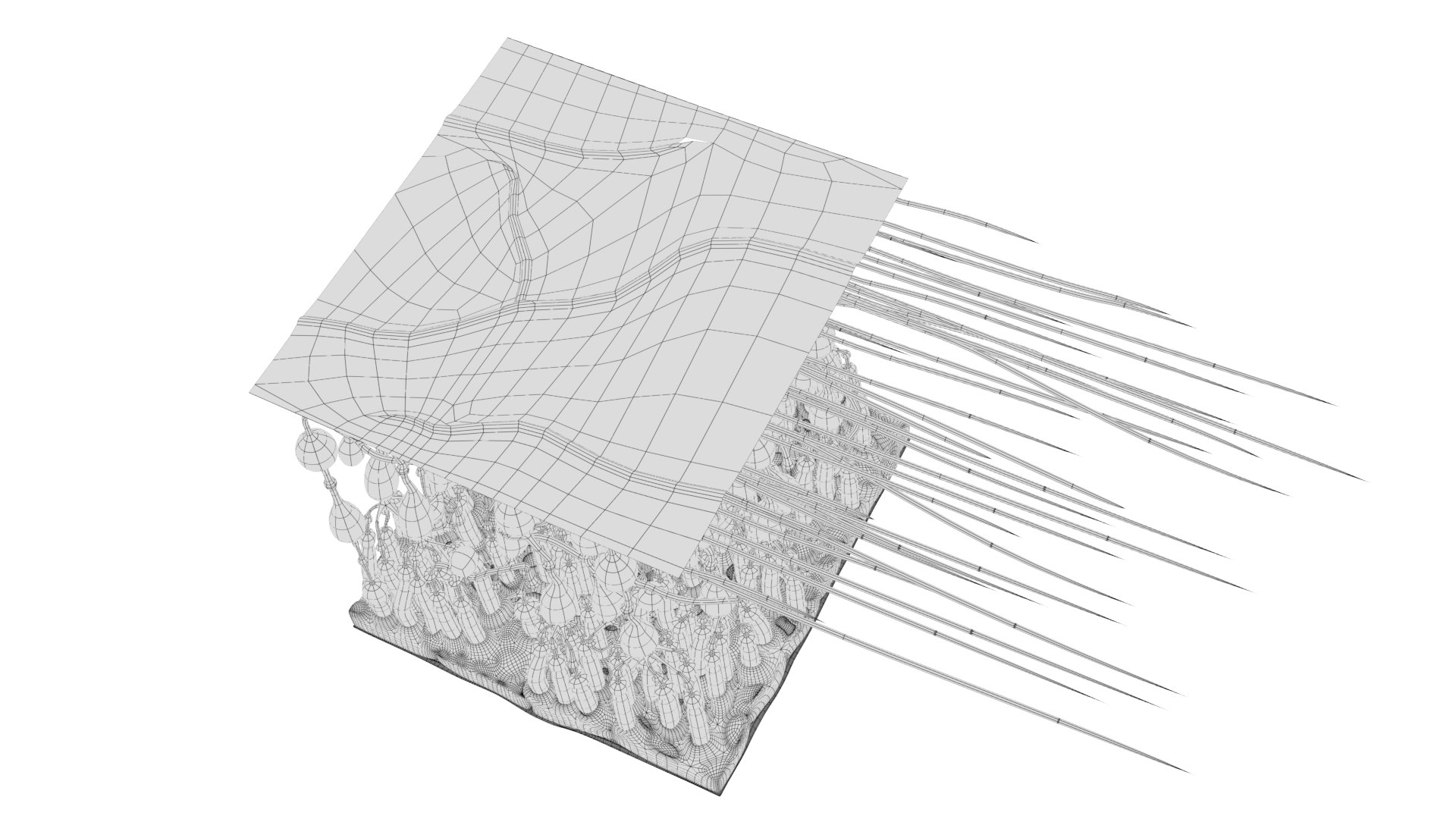 Section Retina 3D Model - TurboSquid 1460654