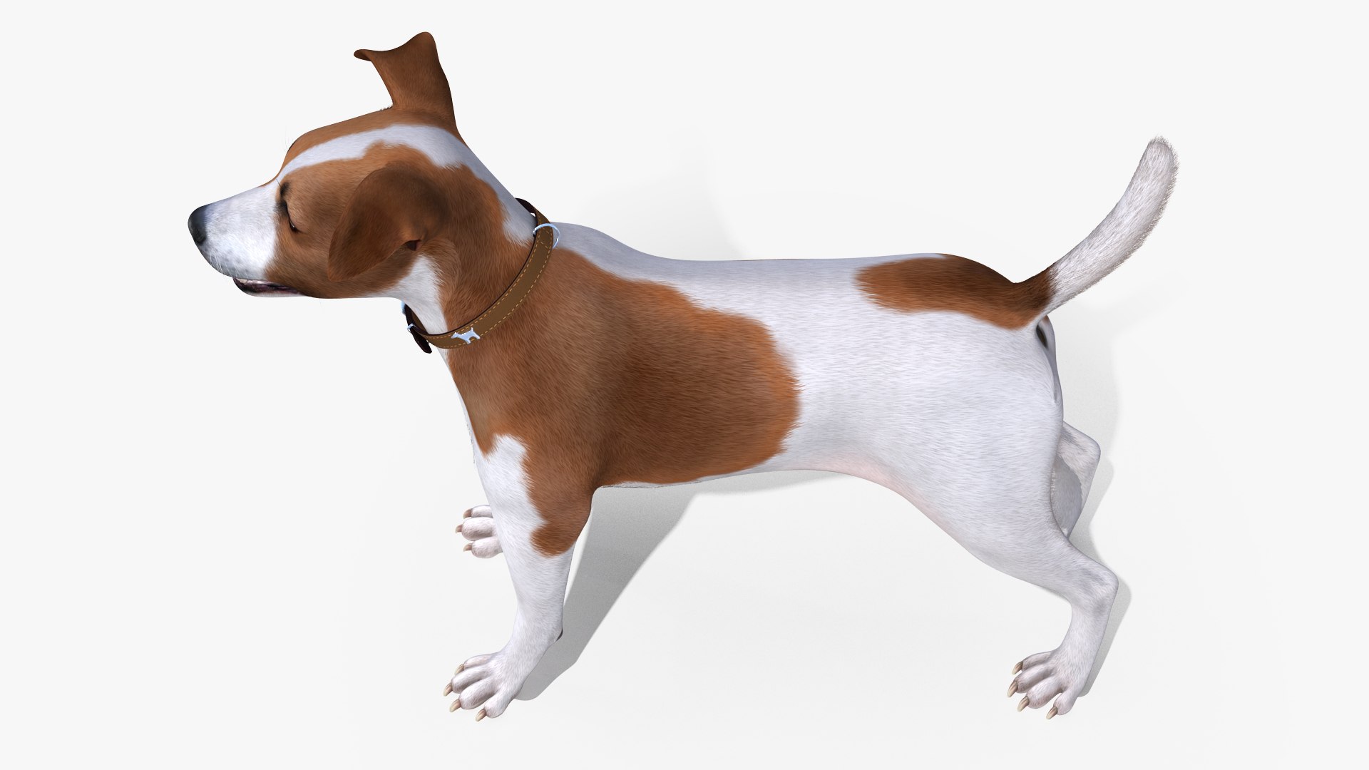 3D Dogs 2 - TurboSquid 1691116