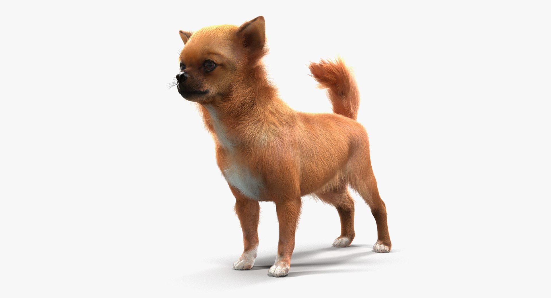 3D Dogs 2 - TurboSquid 1691116