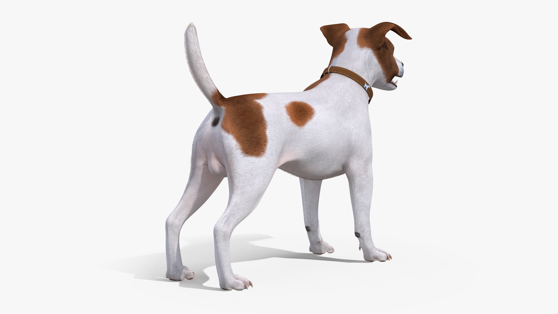 3D Dogs 2 - TurboSquid 1691116