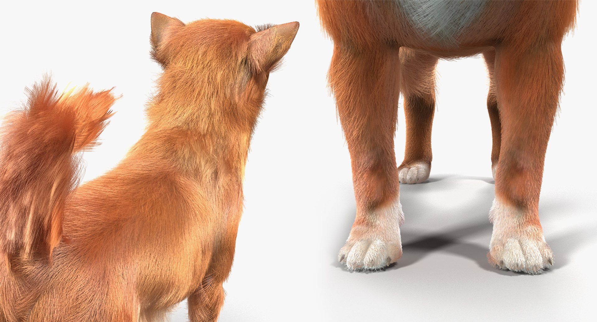 3D dogs 2 - TurboSquid 1691116