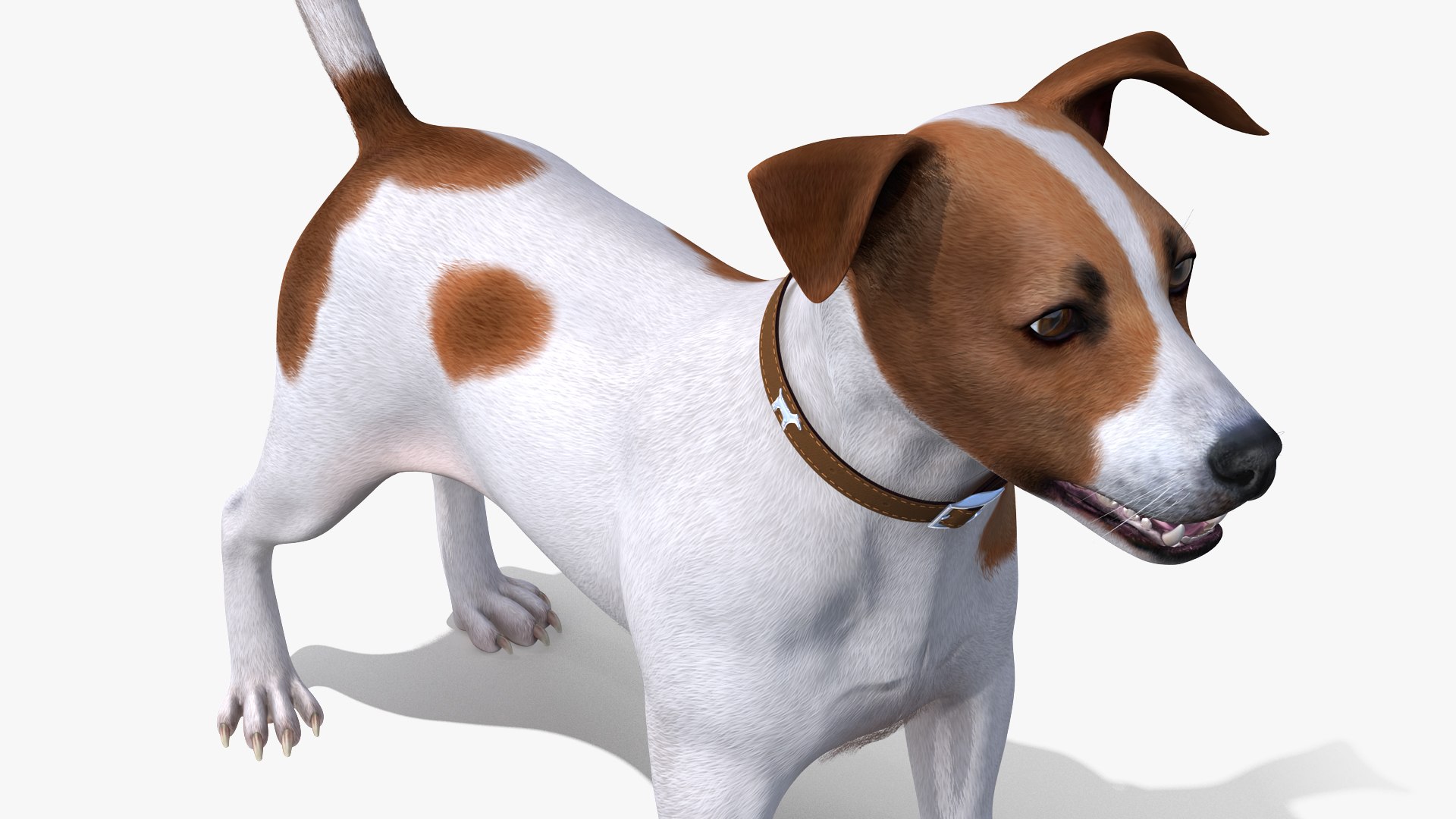3D Dogs 2 - TurboSquid 1691116