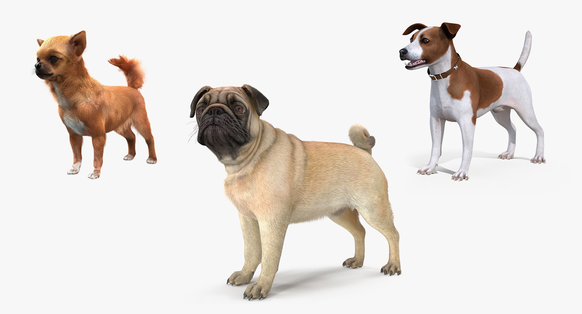 3D Dogs 2 - TurboSquid 1691116