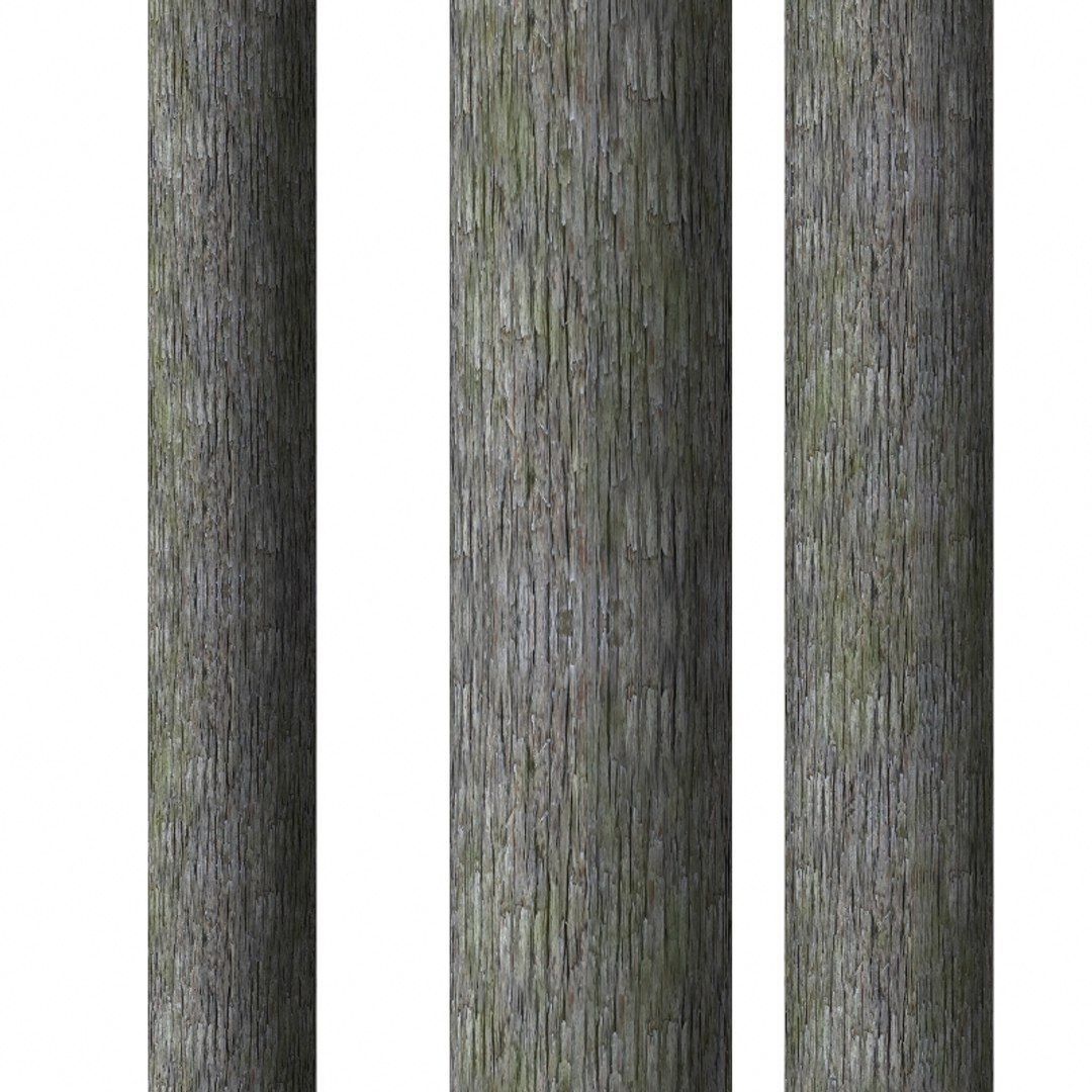 3d Max Tree Trunk