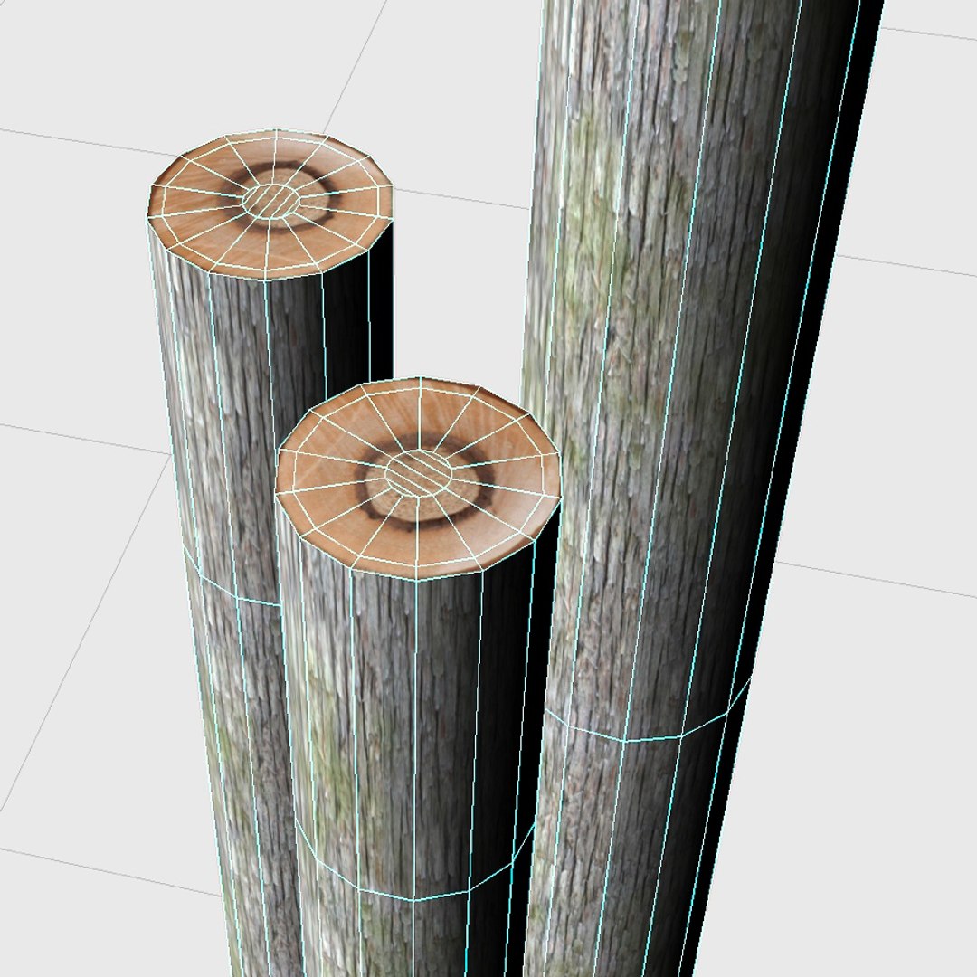 3d Max Tree Trunk