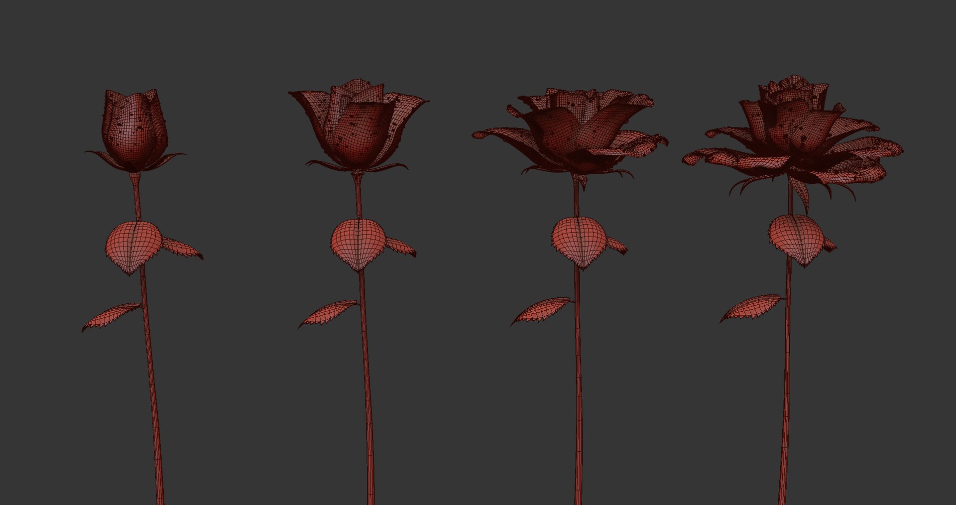 3D Rose Flower Growth Animation - TurboSquid 1903435
