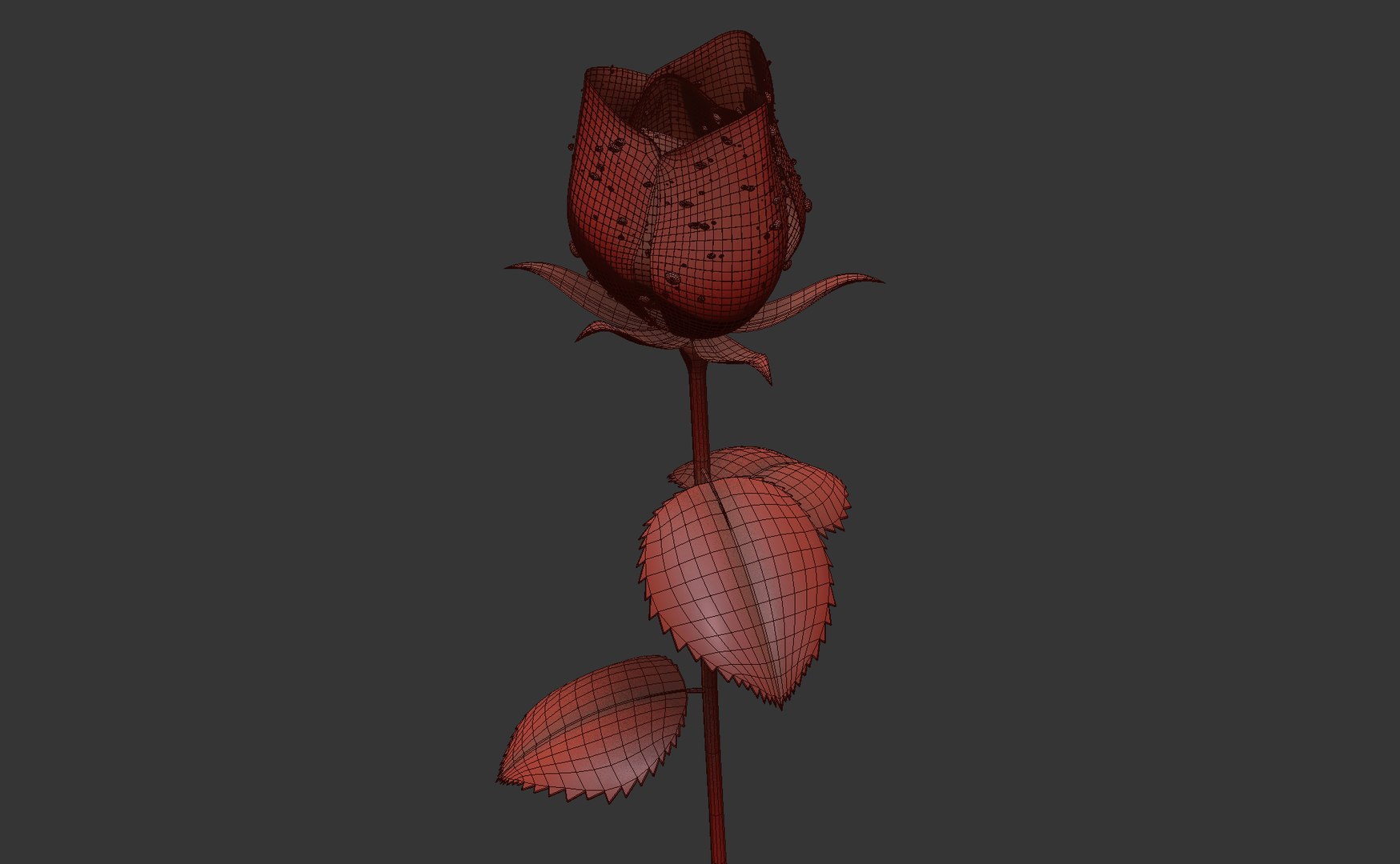 3D Rose Flower Growth Animation - TurboSquid 1903435