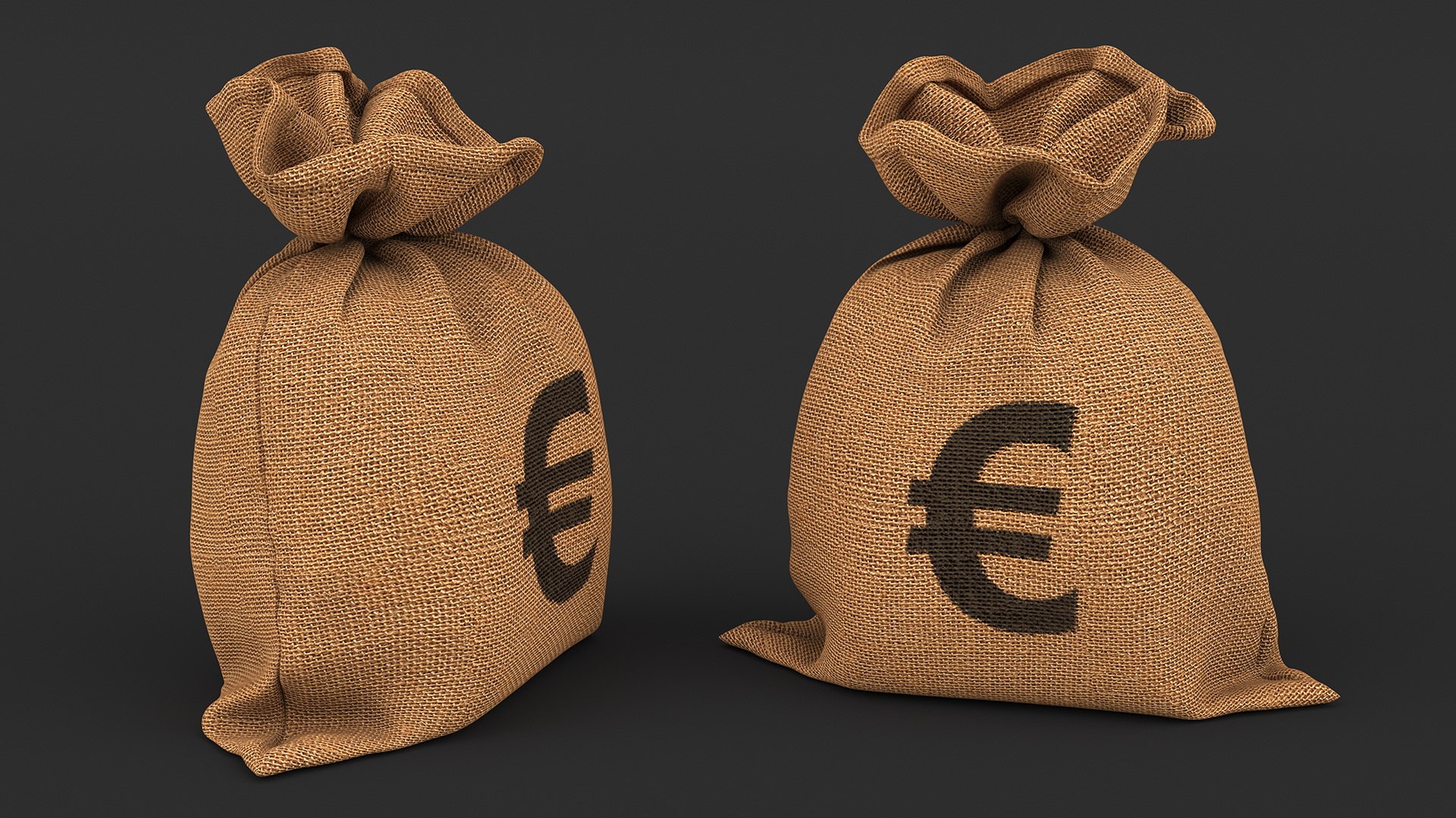 3D Euro Currency Sack - TurboSquid 2216620