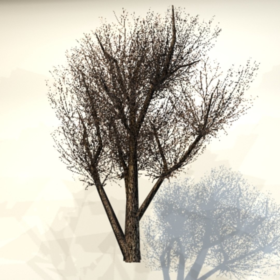 3d Model Winter Trees