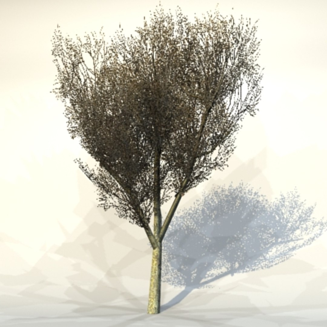 3d Model Winter Trees