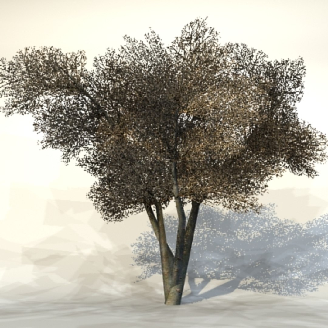3d Model Winter Trees