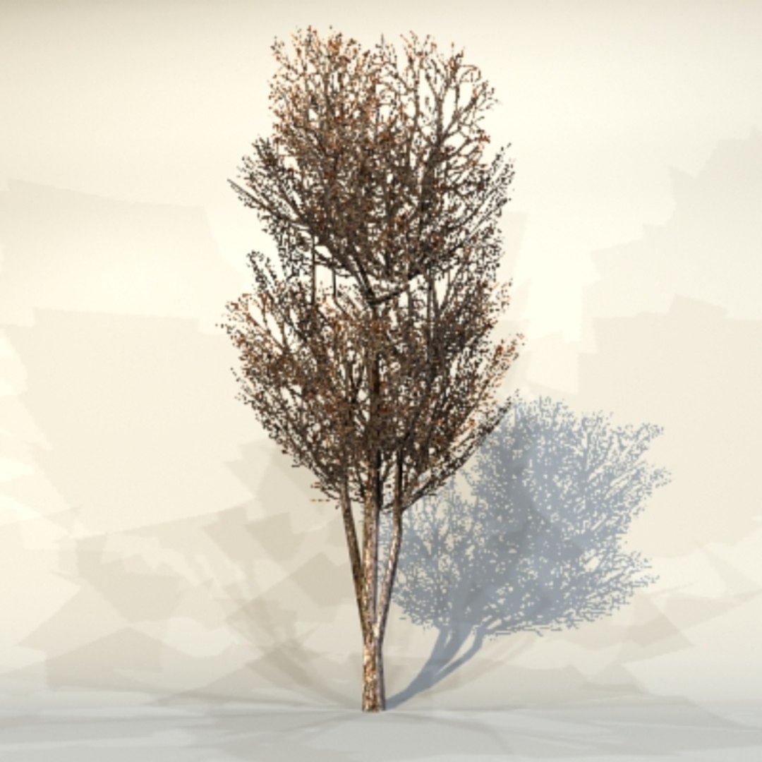 3d Model Winter Trees