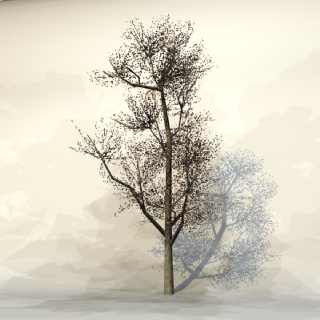 3d Model Winter Trees