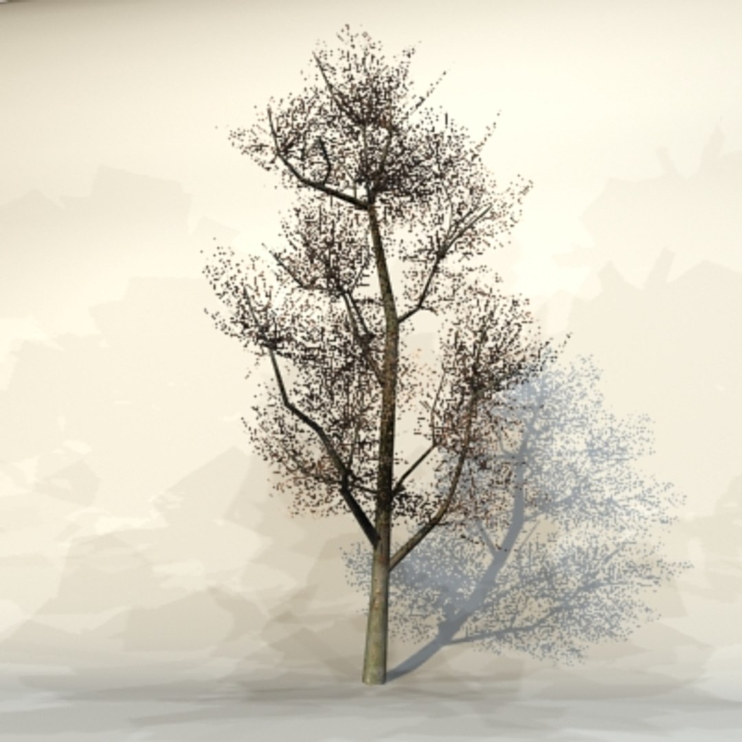 3d Model Winter Trees