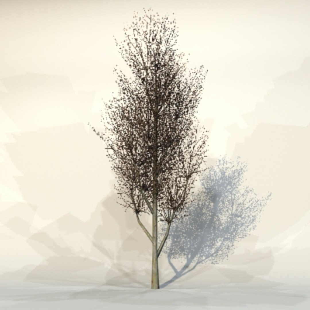 3d Model Winter Trees