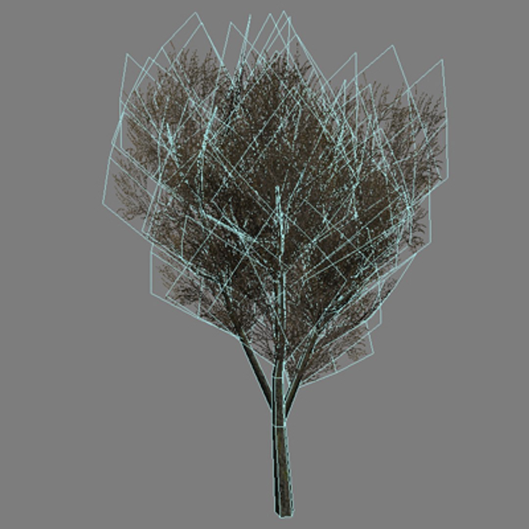 3d Model Winter Trees