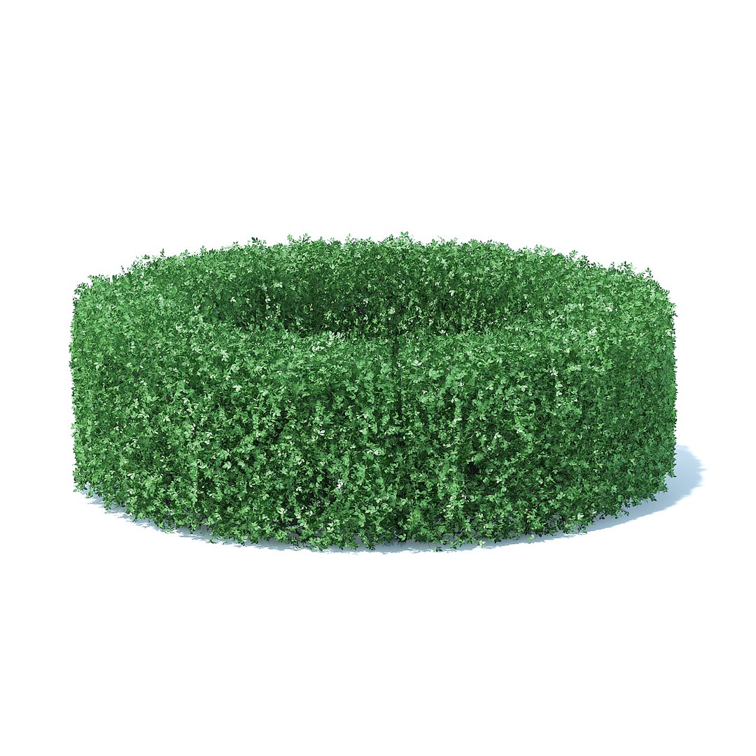Circle Shaped Hedge Model - TurboSquid 1220763